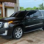 Private Transfer Punta Cana Airport to Bavaro (Redondo) - Pricing and Value