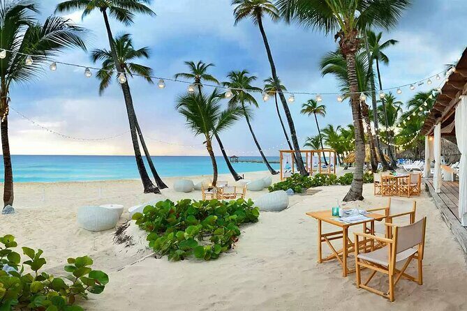 Private Transfer Punta Cana Airport to/from Catalonia Royal La Romana - What to Expect Upon Arrival and Departure