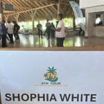 Private Transfer Punta Cana Airport to/from Santo Domingo Hotels - The Sum Up: Is It Worth It?