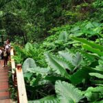 Private Transfer to Konoko Falls Botanical Gardens - The Experience in Detail: What You Can Expect