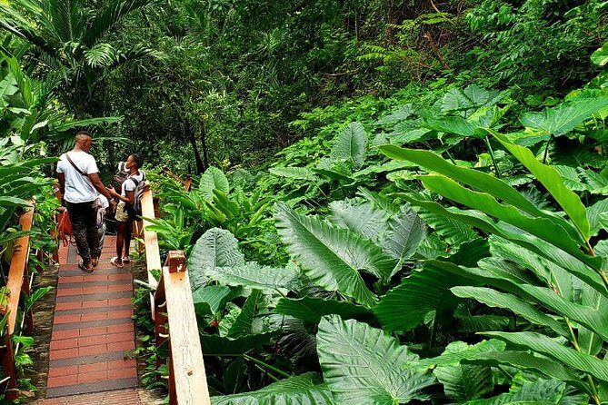 Private Transfer to Konoko Falls Botanical Gardens - The Experience in Detail: What You Can Expect