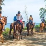 Private Transport and Airport Transfer in Montego Bay - The Value of This Service: Why $40 Is a Fair Price