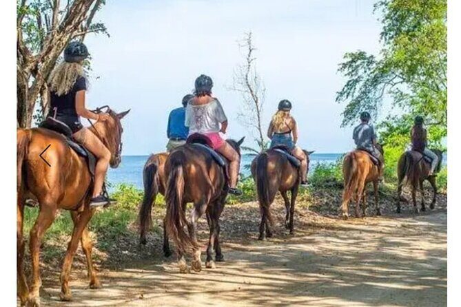 Private Transport and Airport Transfer in Montego Bay - The Value of This Service: Why $40 Is a Fair Price