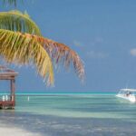 Private Transport From Airport & Private Air to Eastern District - Transportation Details: Why It Matters