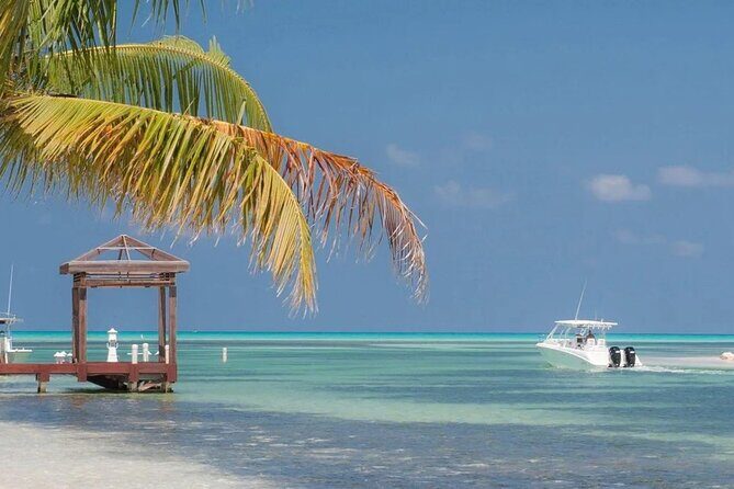 Private Transport From Airport & Private Air to Eastern District - Transportation Details: Why It Matters