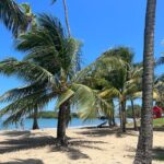 Private Transport from SanJuan to Rio Grande Luquillo Puerto Rico - Who Will Benefit Most From This Service?