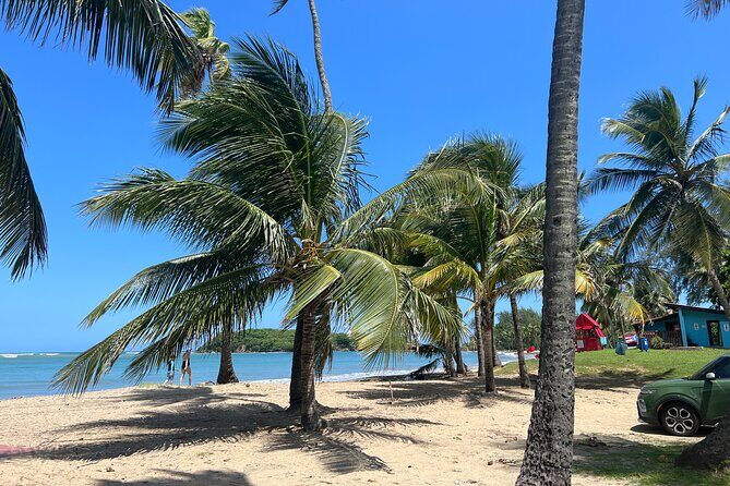 Private Transport from SanJuan to Rio Grande Luquillo Puerto Rico - Who Will Benefit Most From This Service?