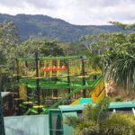 Private Transportation from Montego Bay to Mystic Mountain and Dunn's River Fall - Who Will Love This Experience?