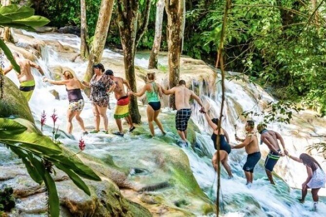 Private Transportation to Blue Hole & Dunns River Falls-w Drinks! - An In-Depth Look at the Experience