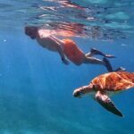 Private Turtle Spotting Snorkeling Excursion in Aruba - The Itinerary: What to Expect
