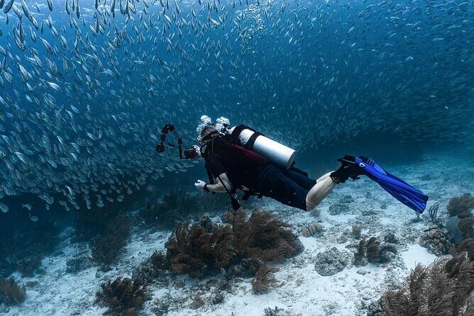 Private Two Tank Boat Dive in Bonaire 2 persons - Why the Private Tour Works Well