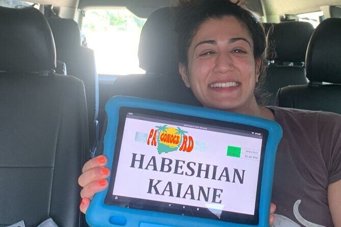 Private Vip and Minivan Punta Cana Round Trip Airport Transfer - Who Will Love This Service?