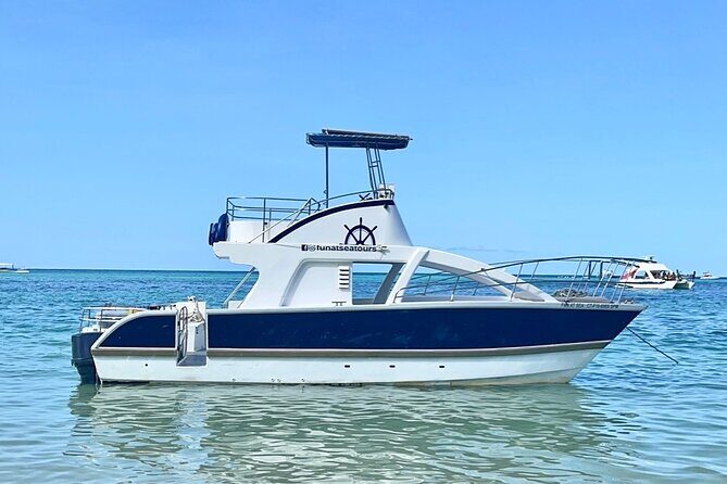 Private VIP Catamaran Party Boat Punta Cana Bavaro - Virgin Beach and Natural Pool