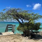 Private VIP Tours in Aruba - Guide Quality and Languages