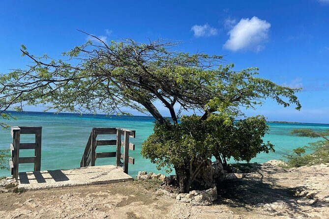 Private VIP Tours in Aruba - Guide Quality and Languages