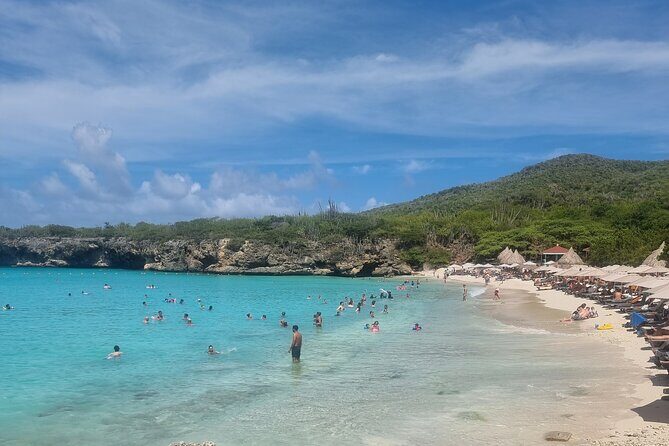 Private Westcoast Beachhop Tour. Turtle beach, grote knip & More - Authentic Experiences and Real-World Insights