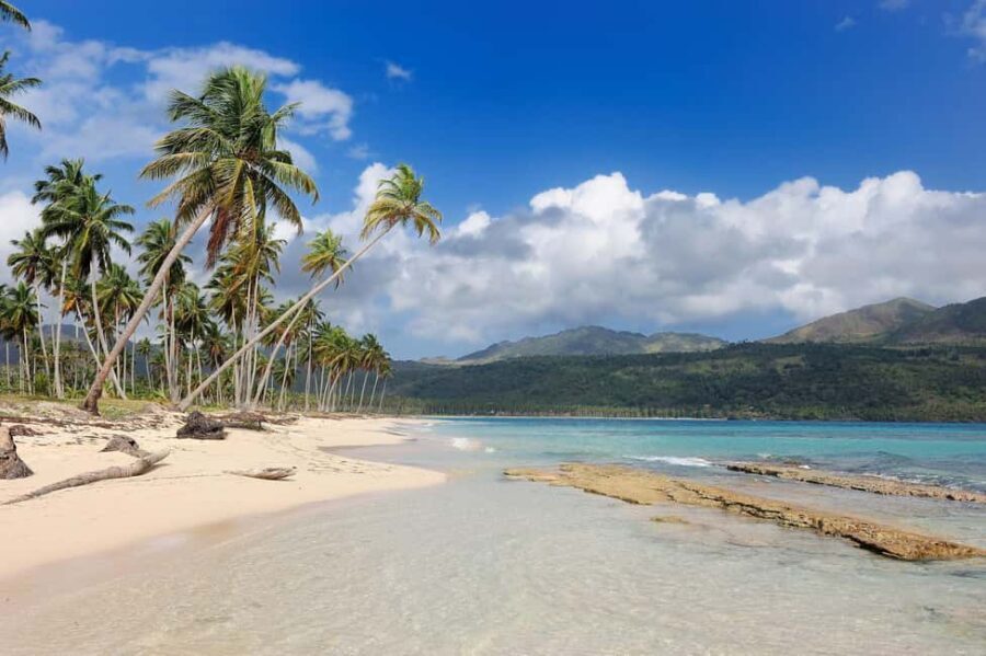 Private: Whale-Watching & Beach Escape from Punta Cana - What Travelers Say