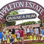 Private YS Falls & Appleton Estate Rum tour from Montego Bay - The Appleton Estate Rum Experience: Jamaicas Spirit Unveiled