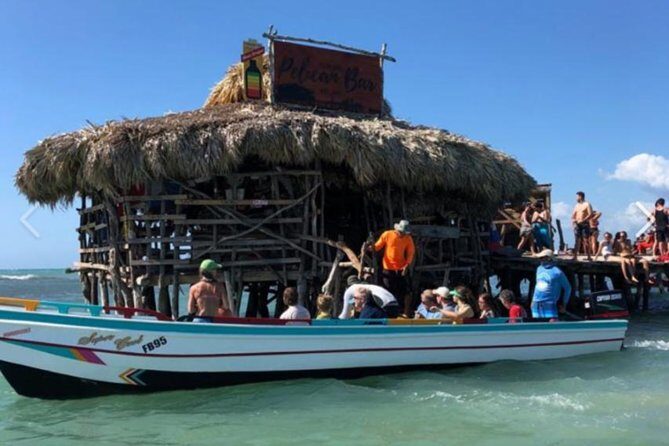 [PRIVATE] YS Falls, Black River, Pelican Bar - Entrance & Lunch - Transportation and Comfort