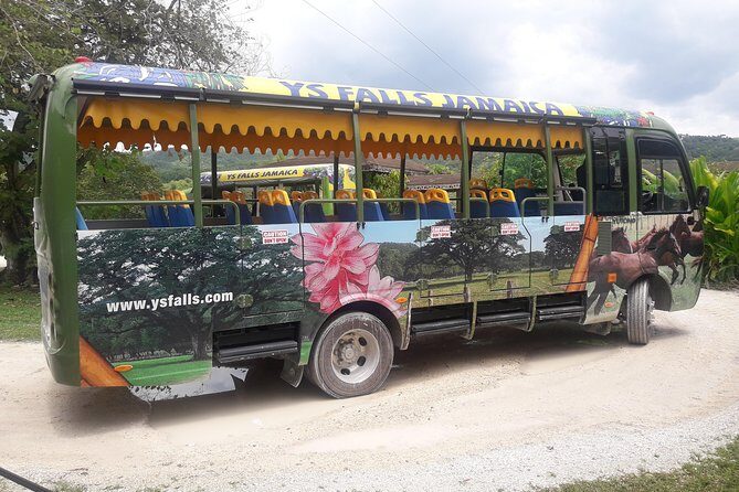 Private YS Falls Tour from Montego Bay - Who Will Love This Tour?