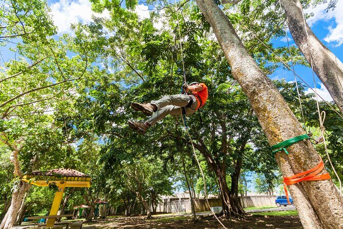 Private Ziplining Tour in Puerto Rico - The Practical Aspects and Value