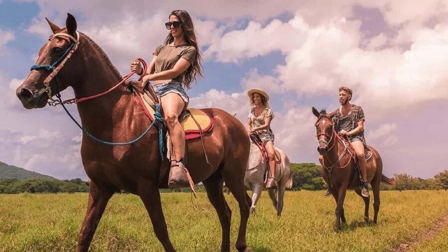 Private:Los Haitises: Kayak and Horseback Riding Tour - Who Should Book This Tour?