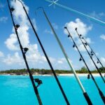 Pro Series Full Day Deep Sea Fishing on Angler Management - Why This Tour Might Be Worth It