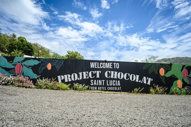 Project Chocolat Tree to Bar Tour at Hotel Chocolat Saint Lucia - Authenticity and Customer Experience