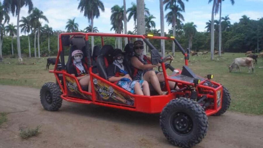 Puerto Plata: Buggy Tour with Cigar Factory & Beach Stop - What to Expect at Each Stop