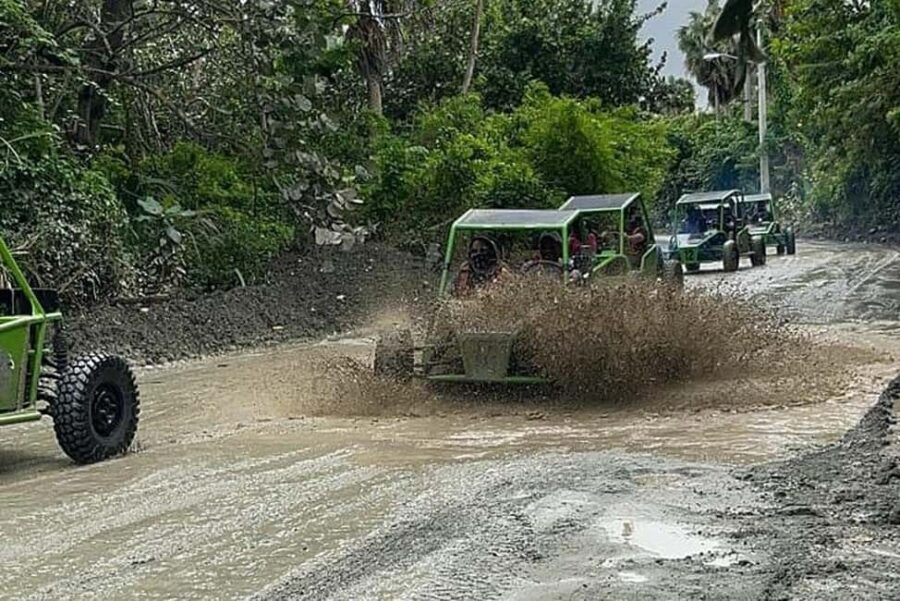 Puerto Plata: Buggy, Waterfalls, Zipline & Lunch Tour - What to Expect from the Tour