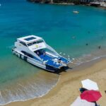Puerto Plata Catamaran Cruise with Snorkeling, BBQ & Open Bar - Final Thoughts: Who Will Love This Experience?