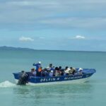 Puerto Plata: Cayo Arena Tour with Snorkeling and Mangroves - The Practical Side: What You Need to Know