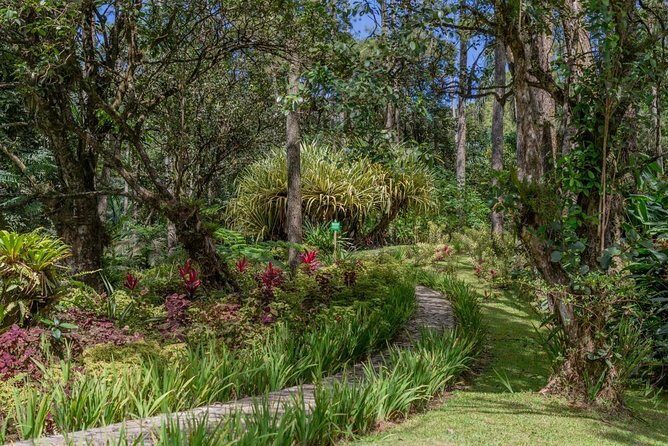 Puerto Plata City Tour - Authentic Experiences and Honest Impressions