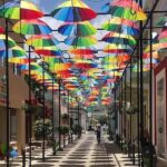 Puerto Plata City Tour to Amber Cove & Taino Bay - What Travelers Say