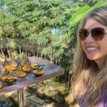 Puerto Plata City Tour with Butterfly Garden - What’s Included and What to Keep in Mind