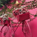 Puerto plata city tour with local lunch with countryside - Practical Details and Tips