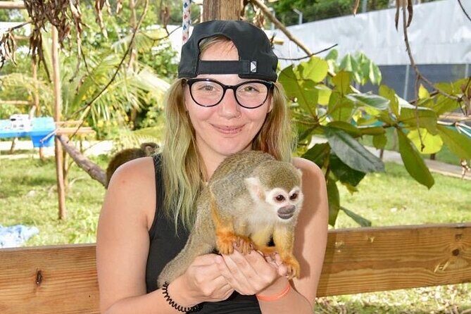 Puerto Plata City Tour with Monkeys - The Value Proposition