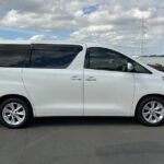 Puerto Plata/Cofresi to Airport(POP) - Departure Private Transfer - What Makes This Private Transfer Stand Out