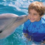 Puerto Plata: Dolphin Encounter at Ocean World - What to Expect on the Day
