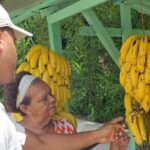 Puerto Plata Historic Town & Countryside - Amber Cove & Taino Bay - Discovering Puerto Plata’s Restorative Roots