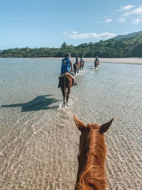 Puerto Plata: Horseback Riding Tour with Beach Views - The Scenic Highlights