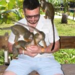 Puerto Plata: Monkey Tour and a Glimpse of Cows and Pigs - An Introduction to the Tour Experience