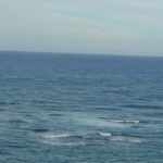 Puerto Plata: Monkey Tour and Dominican History and Culture City Tour - Who Will Enjoy This Tour Most?