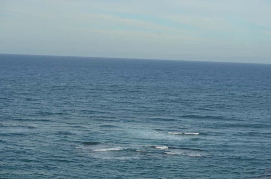 Puerto Plata: Monkey Tour and Dominican History and Culture City Tour - Who Will Enjoy This Tour Most?