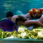 Puerto Plata: Ocean World Adventure Park Day Pass - Practical Tips for Visitors