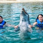 Puerto Plata: Ocean World Adventure Park Swim with Dolphins - The Itinerary Breakdown