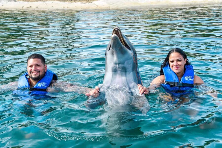 Puerto Plata: Ocean World Adventure Park Swim with Dolphins - The Itinerary Breakdown