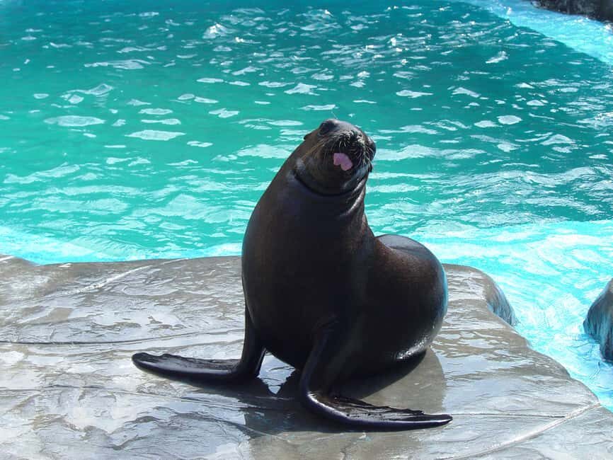 Puerto Plata Ocean World Tickets - FAQ