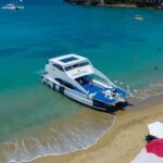 Puerto Plata Private Catamaran: Snorkeling, BBQ & Open Bar - Practical Details and Value