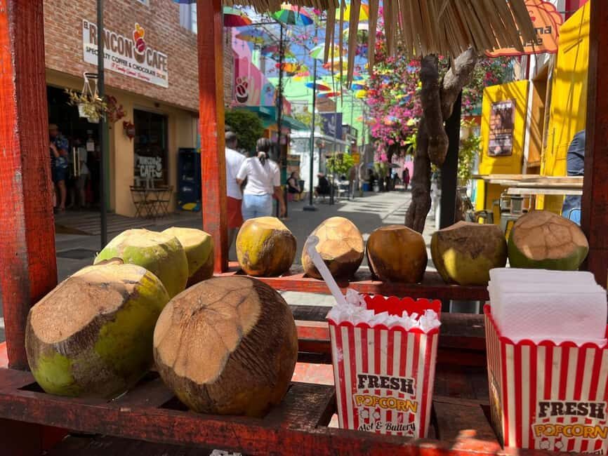 Puerto Plata Private City Tour - Final Thoughts